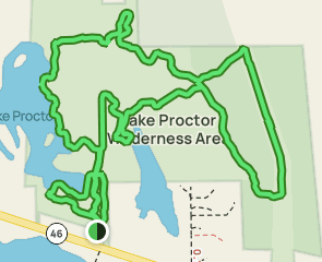 Lake Proctor Wilderness Loop Trail, Florida - 214 Reviews, Map | AllTrails
