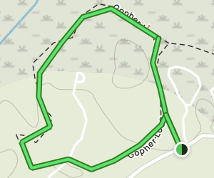 Gopher Loop Nature Trail | Map, Guide - Georgia | AllTrails
