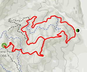 Antoine Peak Summit Loop from East Trailhead - Washington | AllTrails