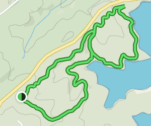 Nottely Reservoir Trail: 759 Reviews, Map - Georgia | AllTrails