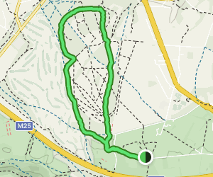 AllTrails | Margery Wood and Banstead Heath: 36 Reviews, Map - Surrey ...