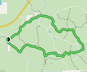 Richloam Wildlife Management Area East Loop: 43 Reviews, Map - Florida ...