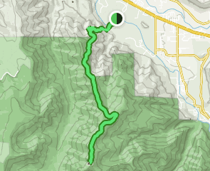 Huckleberry Mountain via Boulder Ridge Trail, Oregon - 382 Reviews, Map ...