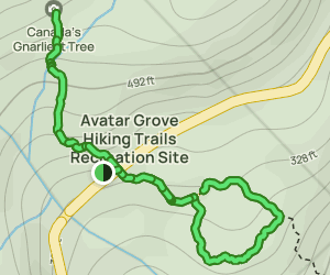 Avatar Grove Nature Trail: 188 Reviews, Map - British Columbia, Canada ...
