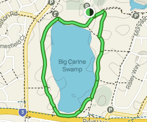 Big Carine Swamp Walk: 87 Reviews, Map - Western Australia, Australia ...