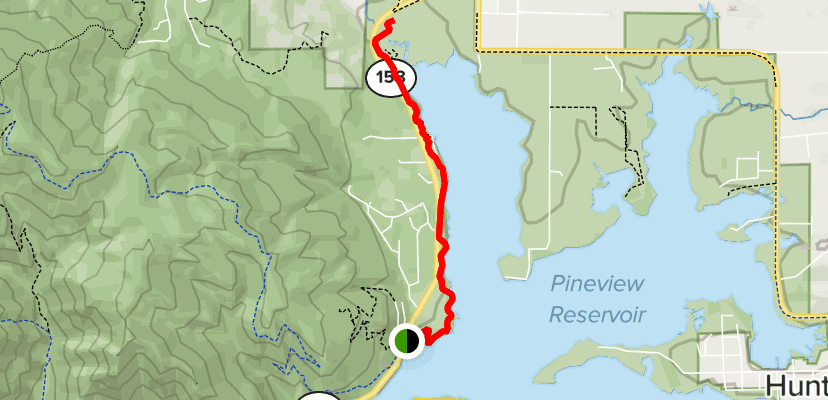 Are Dogs Allowed At Pineview Reservoir