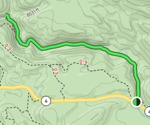 East Fork Trail via Las Conchas Trailhead: 636 Reviews, Map - New ...