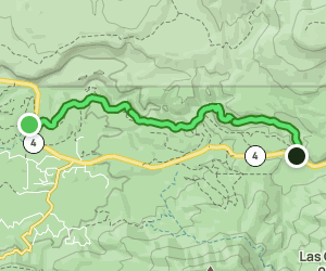 East Fork Trail via East Fork Trailhead: 119 Reviews, Map - New Mexico ...