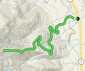 Mineral Rock Trail | Map, Guide - Washington | AllTrails