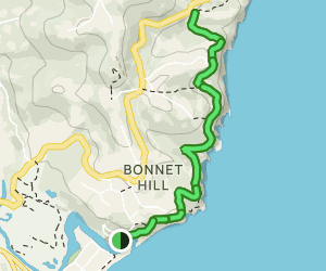 Alum Cliffs Track: 187 Reviews, Map - Tasmania, Australia | AllTrails