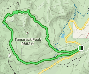 Tamarack Peak Loop: 738 Reviews, Map - Nevada | AllTrails