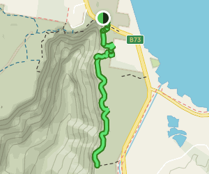 Fitzroy Falls East Rim and Wildflower Track: 123 Reviews, Map - New ...