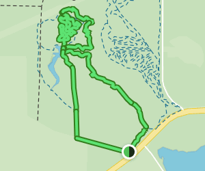 Timber Lake Trail West | Map, Guide - Florida | AllTrails