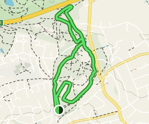 Oxshott Heath Circular: 176 Reviews, Map - Surrey, England | AllTrails