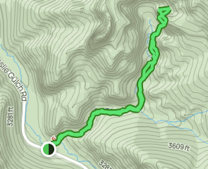 Timber Gulch, Oregon - 39 Reviews, Map | AllTrails