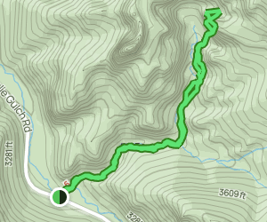 Timber Gulch: 34 Reviews, Map - Oregon | AllTrails