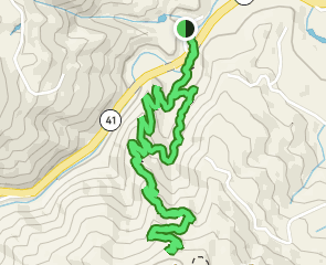 Oak Woodland Loop Trail, California - 1,219 Reviews, Map | AllTrails