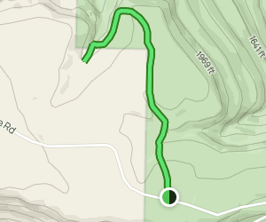 Hideout Hollow Trail: 462 Reviews, Map - Arkansas | AllTrails