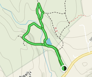 Short Loop and Mushroom Trail | Map, Guide - Massachusetts | AllTrails