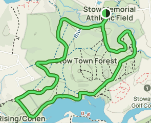Stow Town Forest Blue, Yellow and White Loop , Massachusetts - 186 ...