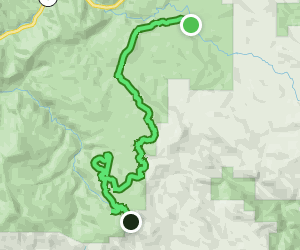 Cedar Trail and University OHV Trail: 45 Reviews, Map - Oregon | AllTrails