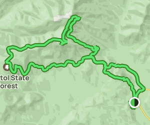 Mount Molly and Capitol Forest OHV Loop: 149 fotos - Washington | AllTrails