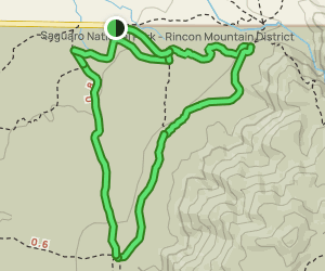 AllTrails | Douglas Spring, Converse, Garwood and Wildhorse Loop: 372 ...