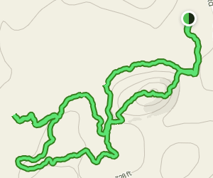 Northern Pond Natural Area Loop: 85 Reviews, Map - Maine | AllTrails