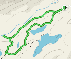 Sargent Creek and Jack Lake Loop: 20 foto's - Alaska | AllTrails