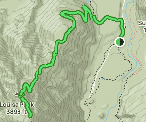 Alex Knob Track: 243 Reviews, Map - West Coast, New Zealand | AllTrails