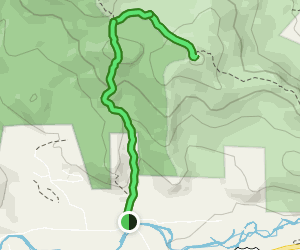 Mount Langdon via Langdon Trail: 42 Reviews, Map - New Hampshire ...