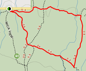 Pink Hill, Loma Verde, Cholla Trail, and Cactus Forest Loop - Arizona ...