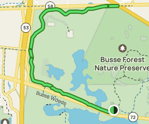 Busse Woods Red and Black Trail: 113 Reviews, Map - Illinois | AllTrails