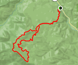 Little Bald Mountain OHV Loop - Washington | AllTrails