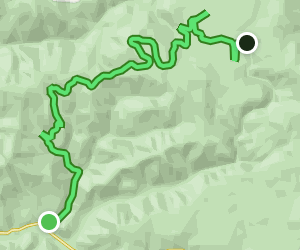 Red River OHV Trail: 24 Reviews, Map - New Mexico | AllTrails