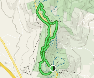Gambrill State Park Loop: 423 Reviews, Map - Maryland | AllTrails