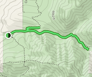 Maple Creek Spring: 26 Reviews, Map - Idaho | AllTrails