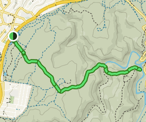 Engadine Track: 105 Reviews, Map - New South Wales, Australia | AllTrails
