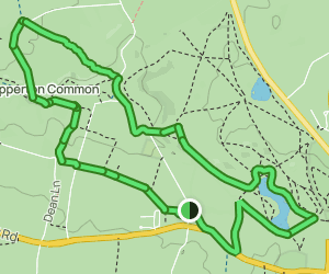 Upperton Common and Petworth Park Circular: 254 Reviews, Map - West ...