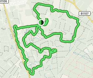 Thetford Forest Black and Red Loops, 36 Fotos - Suffolk, England ...