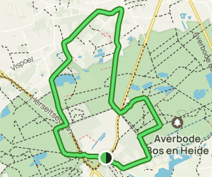 Averbode Bos en Heide en Veerle-Heide: 44 foto's - Flemish Brabant ...
