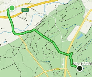 Shipwrights' Way: Bentley to Alice Holt Forest - Surrey, England ...