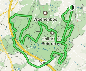 Hallerbos Rondwandeling: 116 foto's - Vlaams-Brabant, België | AllTrails