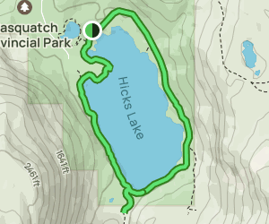 Hicks Lake Trail: 179 Reviews, Map - British Columbia, Canada | AllTrails