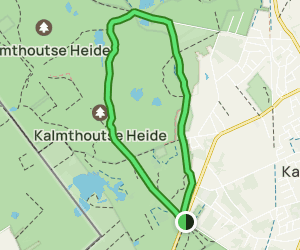 Kalmthoutse Heide rode wandelroute - Antwerp, Belgium | AllTrails