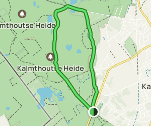 Kalmthoutse Heide red walking route: 23 Reviews, Map - Antwerp, Belgium ...