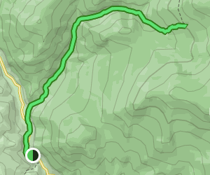 Three Mile Creek Trail: 816 Reviews, Map - Colorado | AllTrails