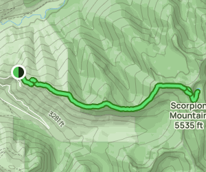 Johnson Ridge Trail: 202 Reviews, Map - Washington | AllTrails
