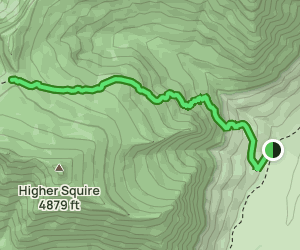Eight Mile Trail: 60 Reviews, Map - Washington | AllTrails