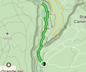 Cebolla Mesa and Big Arsenic Trails: 14 Reviews, Map - New Mexico ...